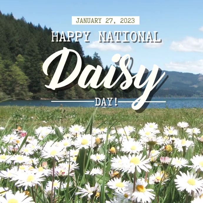 National Daisy Day Template | PosterMyWall