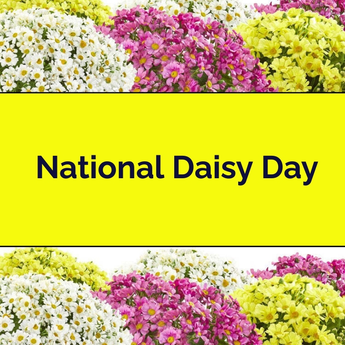 national daisy day Template | PosterMyWall