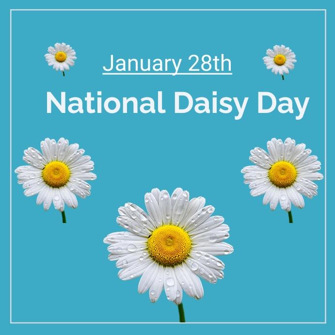 Copy of national daisy day | PosterMyWall