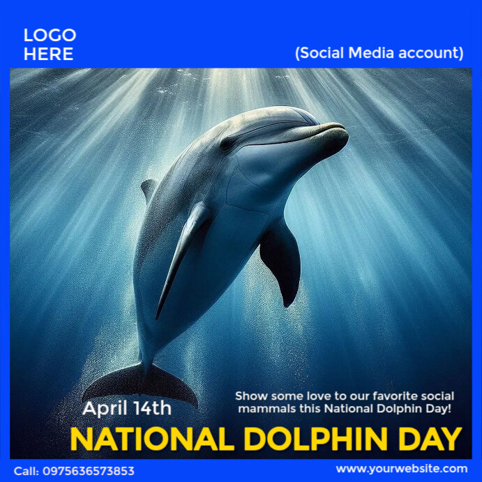 national dolphin day Template | PosterMyWall
