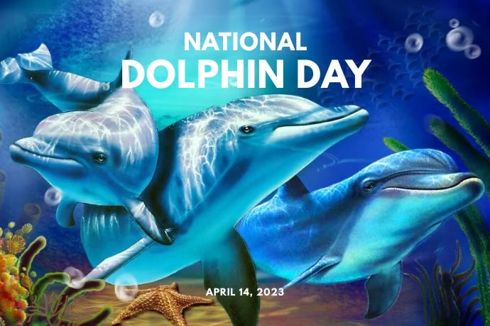 National Dolphin Day Template | PosterMyWall