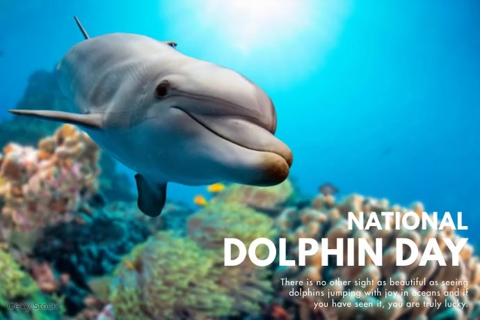 National Dolphin Day Template | PosterMyWall