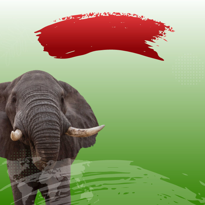 National Elephant Appreciation Day Template | PosterMyWall