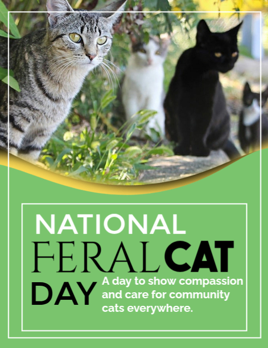Plantilla de National Feral Cat Day | PosterMyWall