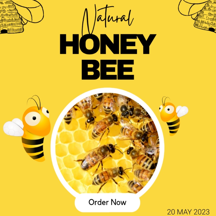Plantilla de National Honey Bee Instagram post | PosterMyWall