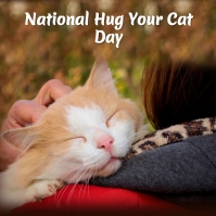 national hug your cat day template | PosterMyWall