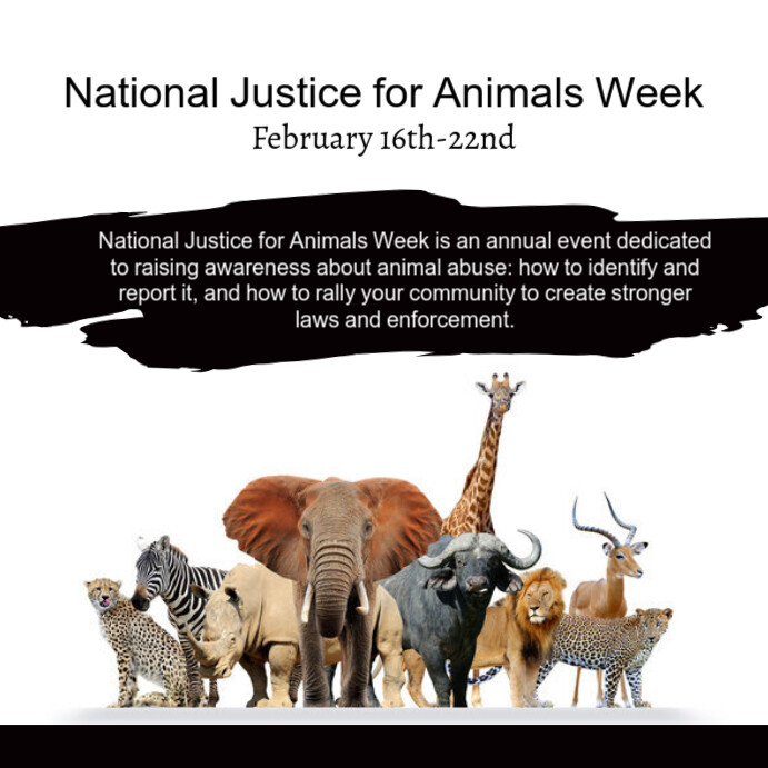 national justice for animal week Template | PosterMyWall
