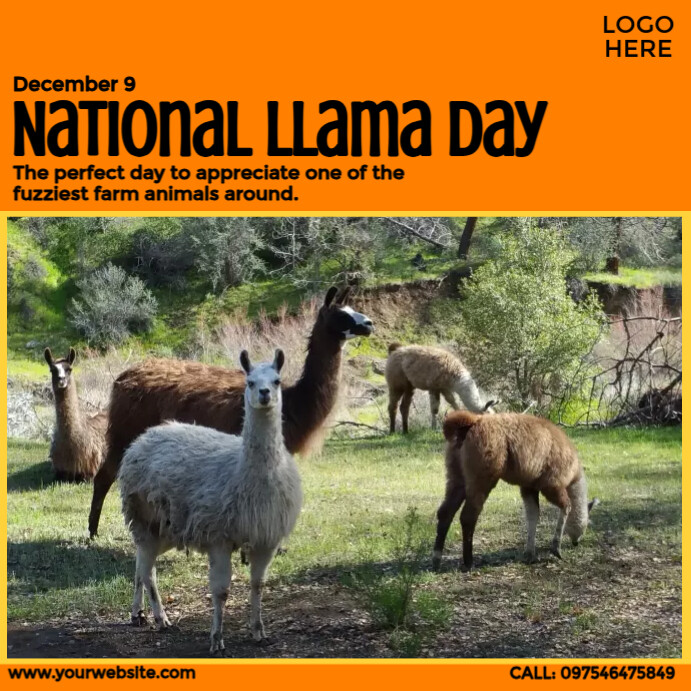 Plantilla de National Llama Day | PosterMyWall