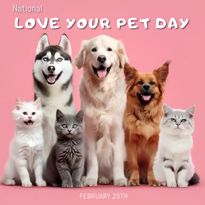 Copy of National Love Your pet day Instagram post | PosterMyWall