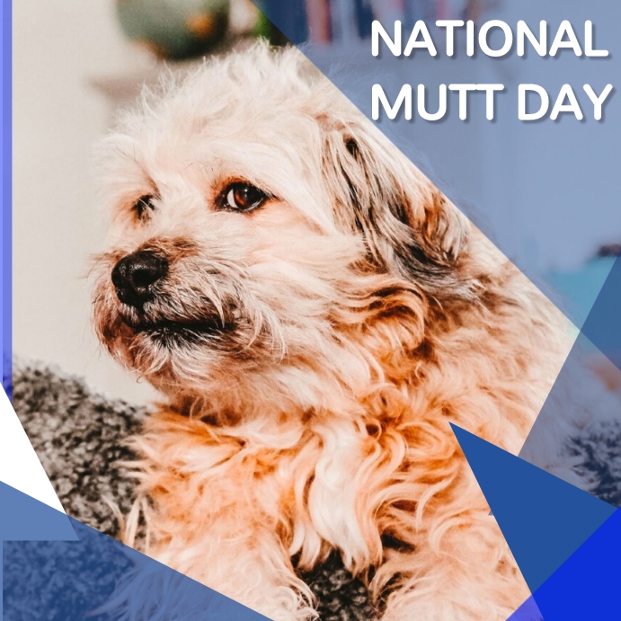 NATIONAL MUTT DAY Template | PosterMyWall