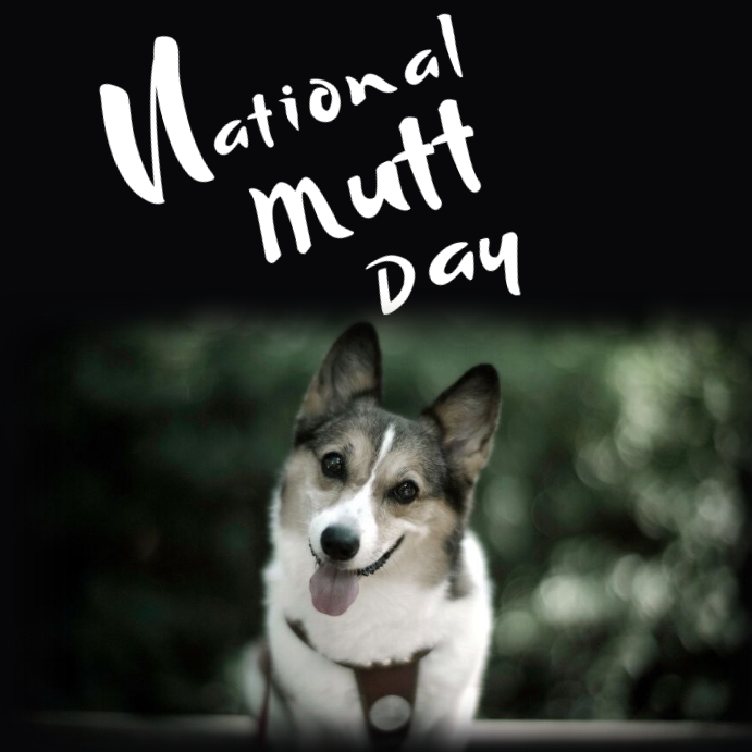 Mutt Day Graphics National Mutt Day: Over 121 Royalty Free Licensable