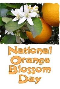national orange blossom day Template | PosterMyWall