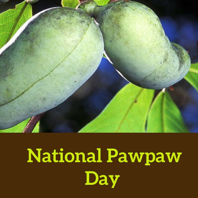 national paw paw day Template | PosterMyWall