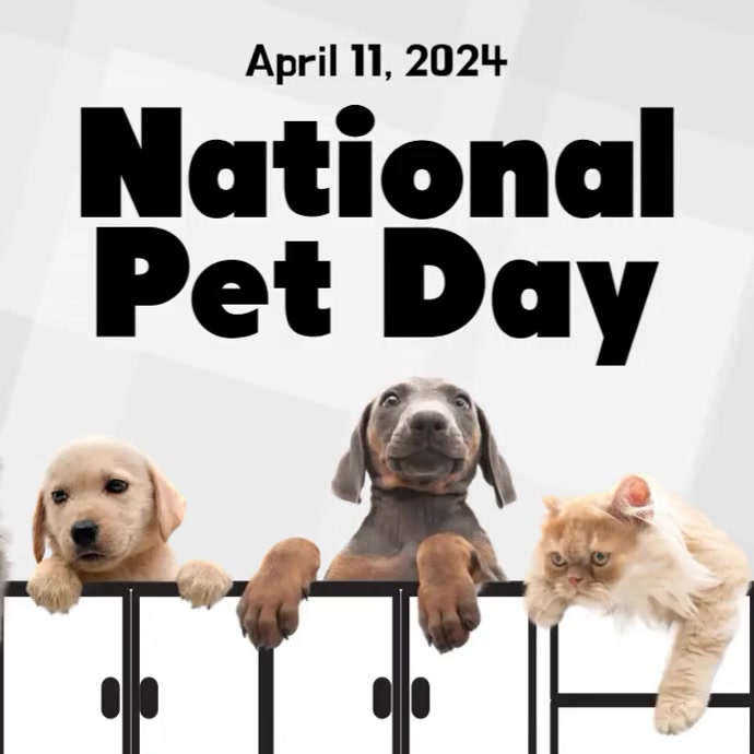 Plantilla de National Pet Day Ads | PosterMyWall
