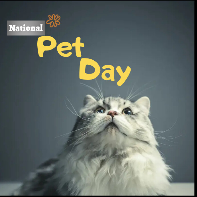 NATIONAL PET DAY Template | PosterMyWall