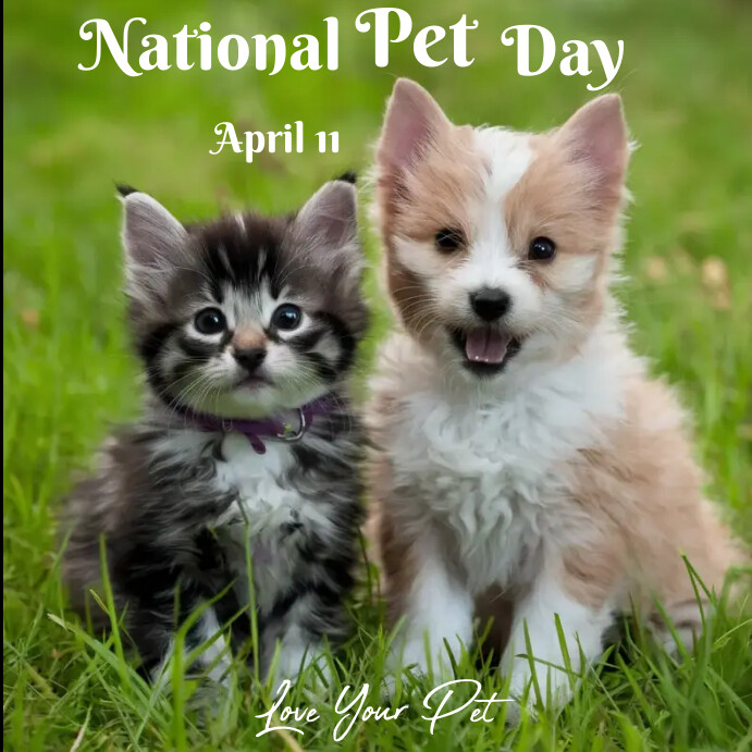 National Pet Day Poster Template | PosterMyWall