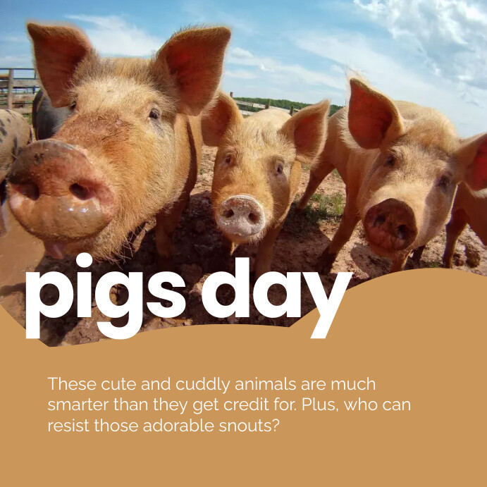National Pig Day Instagram Post Template | PosterMyWall