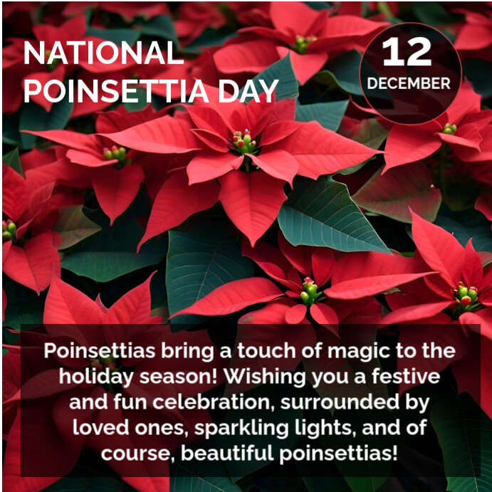 Copy of National Poinsettia Day | PosterMyWall