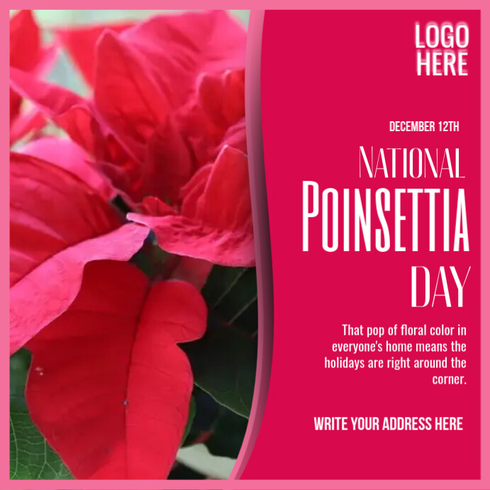 national poinsettia day Template | PosterMyWall