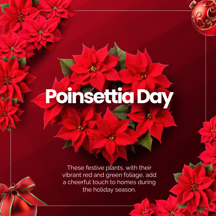 National Poinsettia Day Instagram Post Template | PosterMyWall