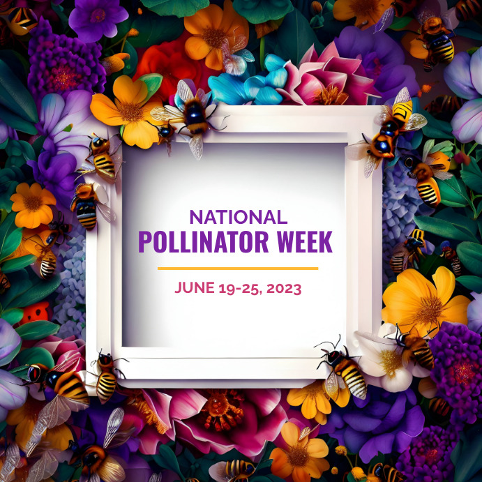 National Pollinator Week Template | PosterMyWall