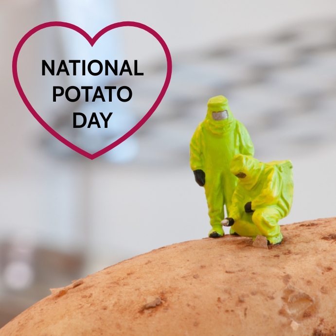 NATIONAL POTATO DAY Template | PosterMyWall