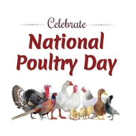 60+ poultry Customizable Design Templates | PosterMyWall