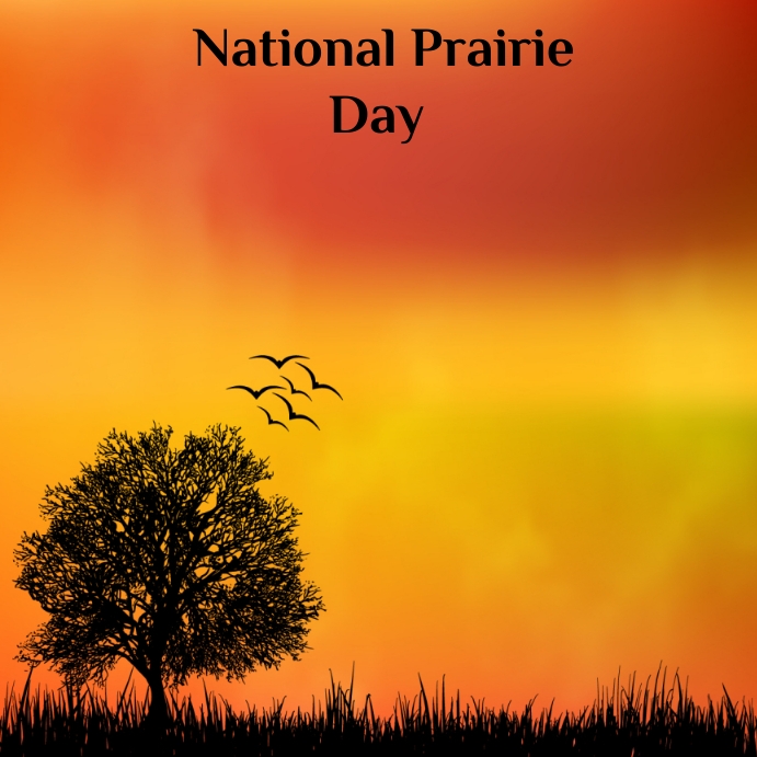 National prairie day background illustration Template | PosterMyWall