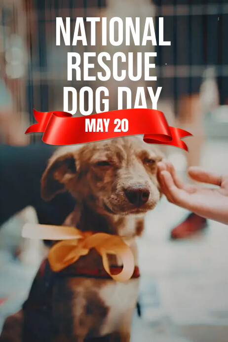 Copy of National rescue dog day | PosterMyWall