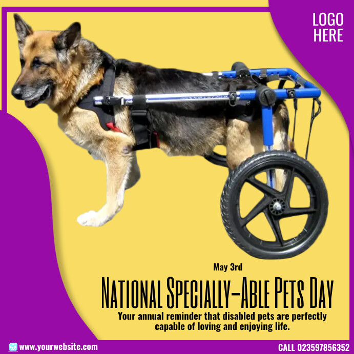 Copy of national specially-able pets day | PosterMyWall