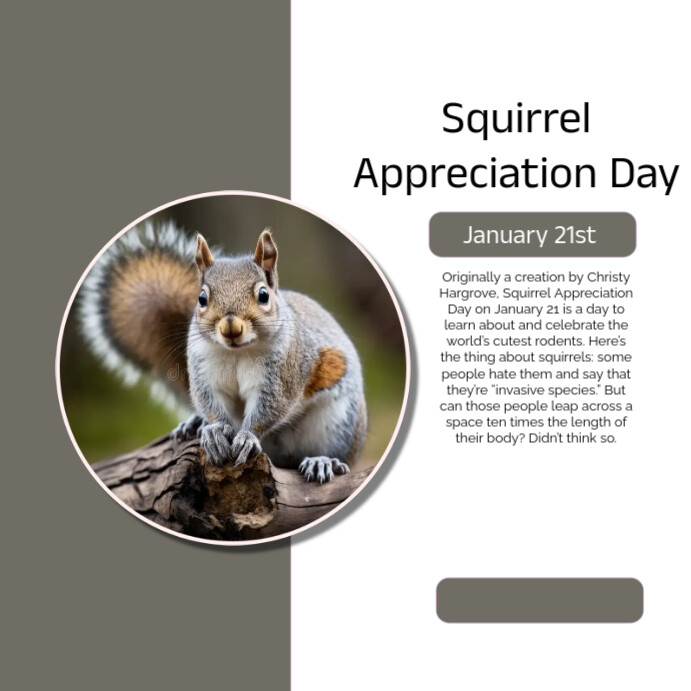 national squirrel appreciation day Template | PosterMyWall