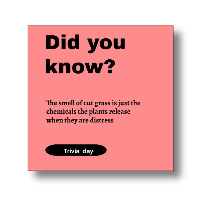 Copy of National trivia day post | PosterMyWall