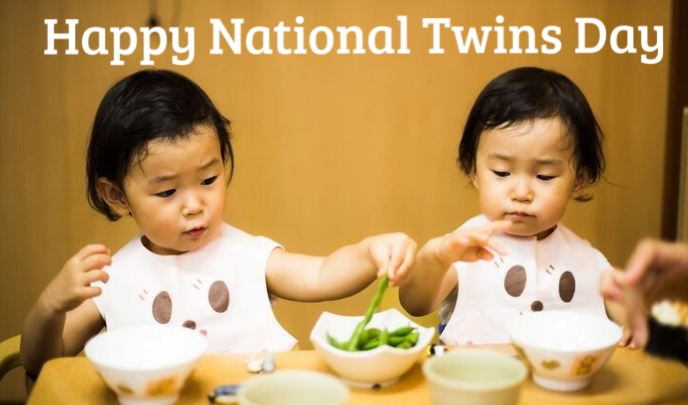 National Twins Day template design | PosterMyWall
