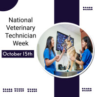 national veterinary technician week Template | PosterMyWall