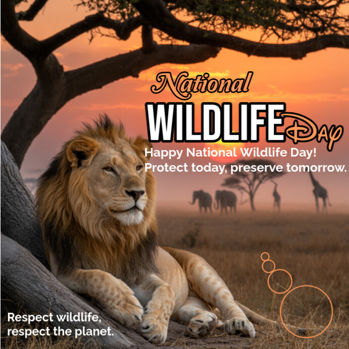 Copy of National Wildlife Day | PosterMyWall