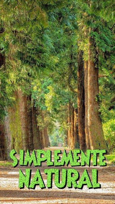Copy of NATURALEZA | PosterMyWall