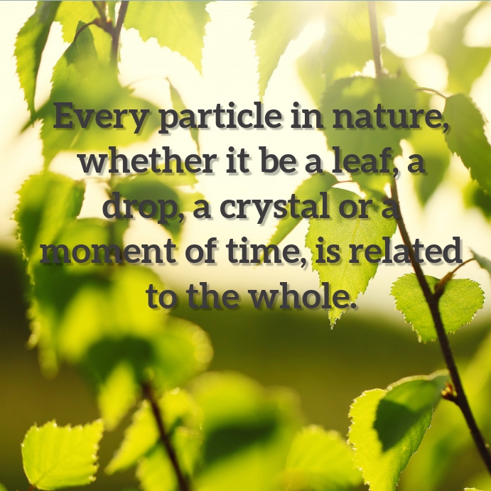 NATURE LEAVE QUOTE TEMPLATE | PosterMyWall