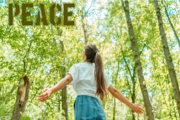 Copy of nature peace | PosterMyWall