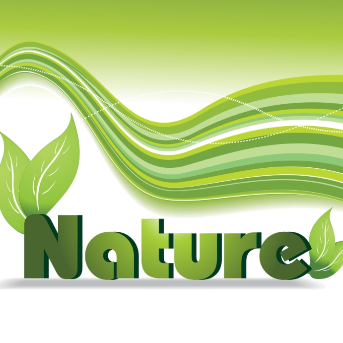 Copy of Nature video team,plet | PosterMyWall