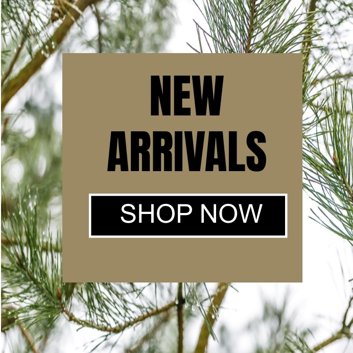 Plantilla de NEW ARRIVAL | PosterMyWall