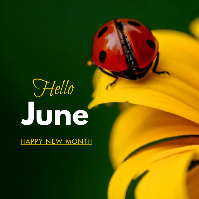 New month Template | PosterMyWall
