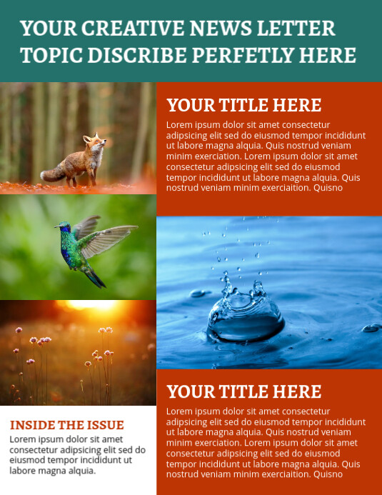 Copy of News Letter Template | PosterMyWall