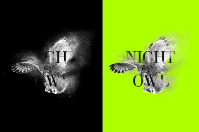 Night Owl | owl lovers | Apparel Premium Art Template | PosterMyWall