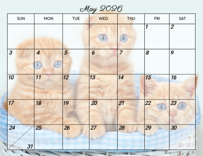 November 2024 calendar planner Template | PosterMyWall