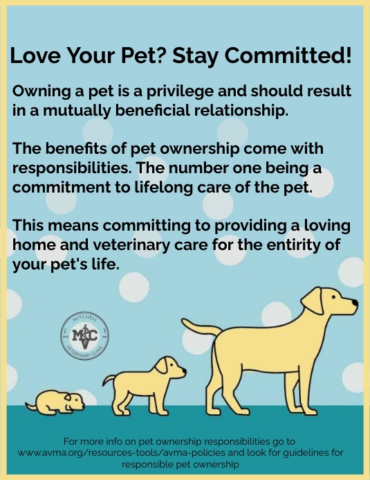 NPW 23 Commitment Sunday Template | PosterMyWall