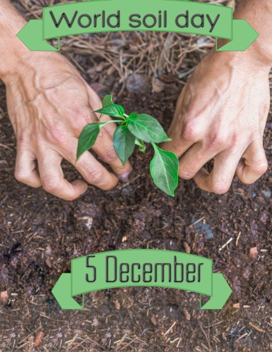 Ojo Olajide Solomon Template | PosterMyWall