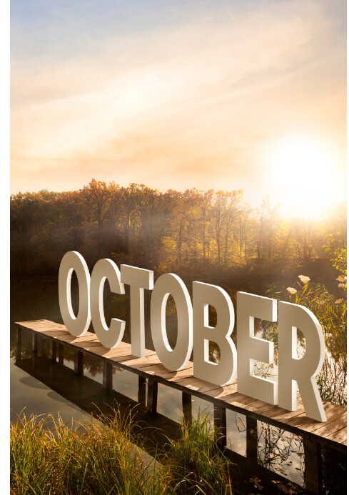 Copy of Oktober flyer | PosterMyWall