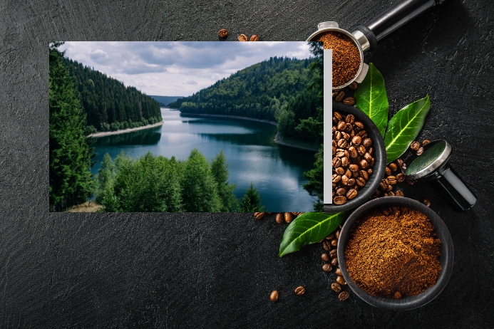 Olisa Template | PosterMyWall