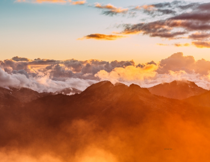 orange 14 Template | PosterMyWall