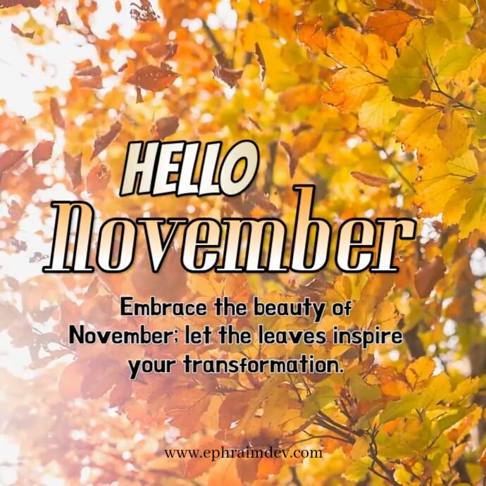 November Logo Design Template